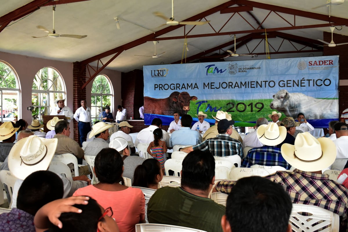 Mejoramiento Genético reafirma a Aldama como líder en la ...